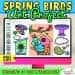 Digital Spring Bird Art Project – Elementary Craft on Google Slides